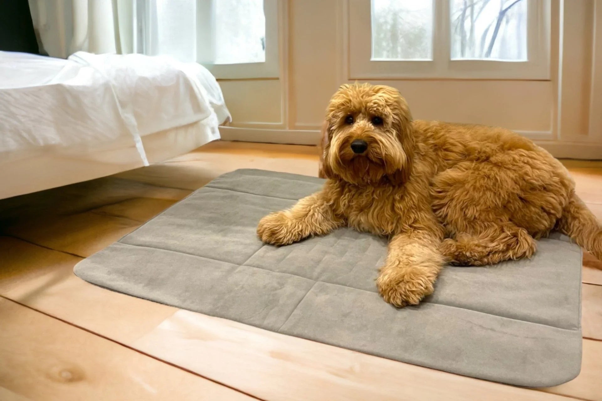 Reisedecken, Schlafsäcke & Matten für bequemes Reisen mit Hund – YUNA | House of Pets & More